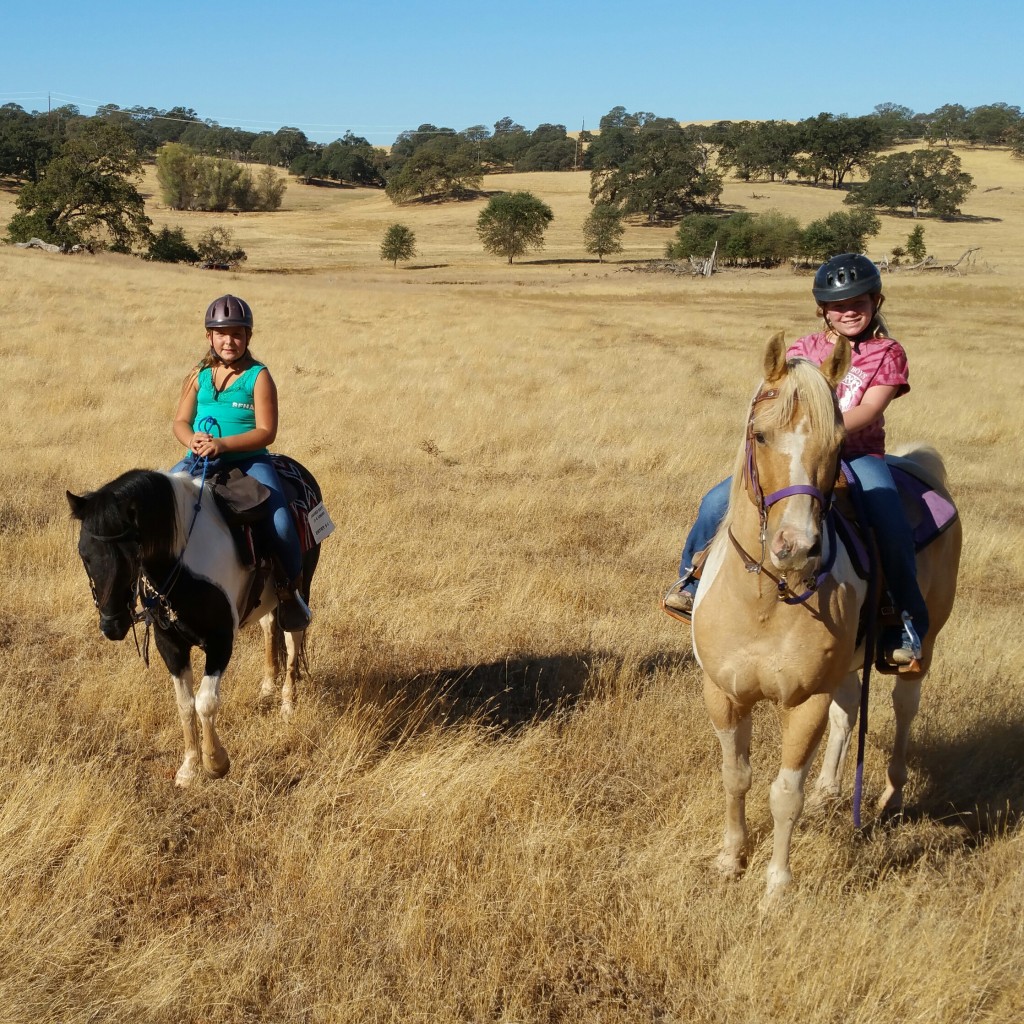 Competitive Trail Ride – October 11, 2015 – Sierra Foothills Horseman's ...